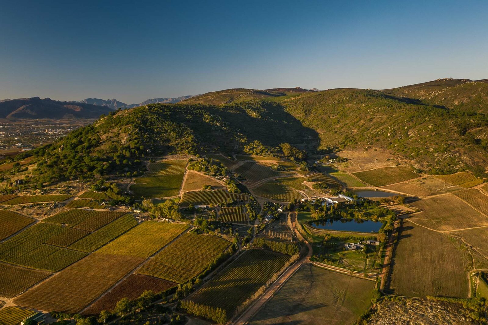 About Rhebokskloof – Pace Future